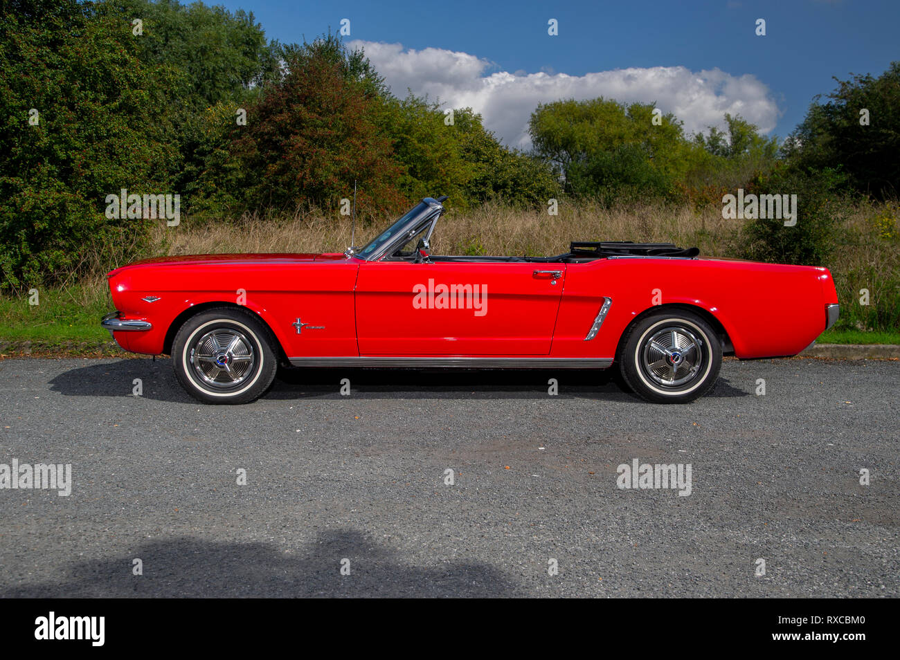 Ford mustang pony car 1964 hi-res stock photography and images - Alamy