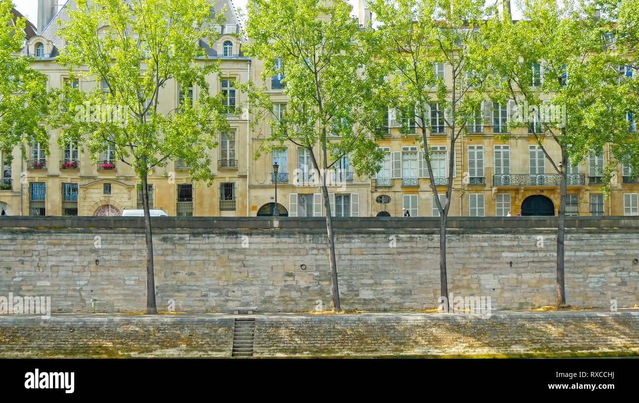 Trees beside the river in Paris and huge buildings on the back Stock ...