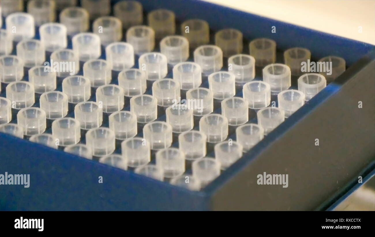 The top of the tube holder in a laboratory. The openings of each tube ...