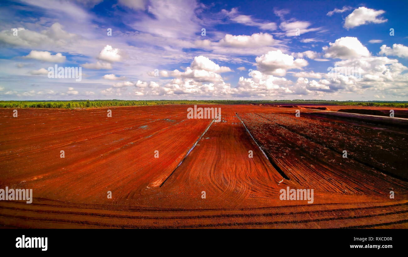 The brown wide peat field with lots of organic matters. The peatland ...