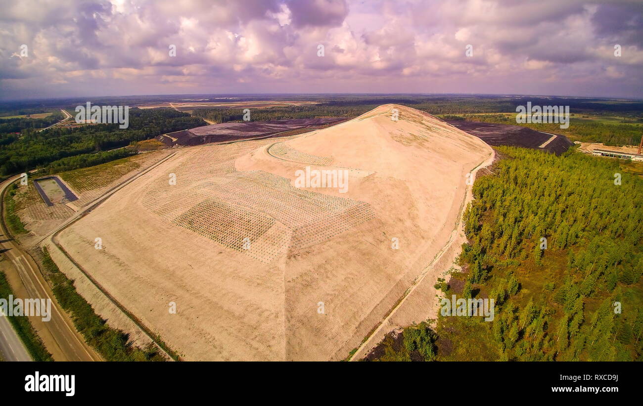 Large oil shale in the middle of the forest. Oil shale is fine-grained ...