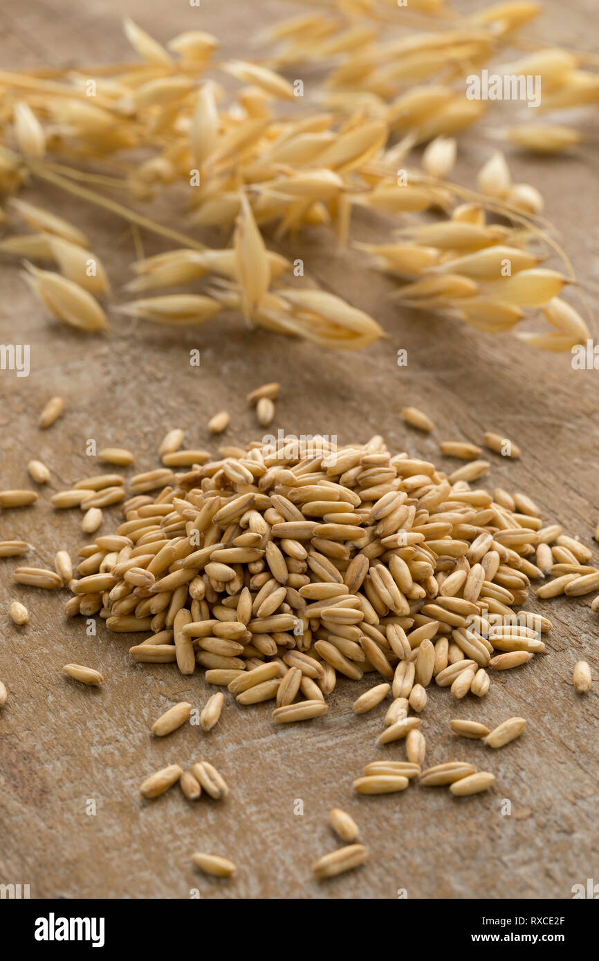 Oat seeds hi-res stock photography and images - Alamy