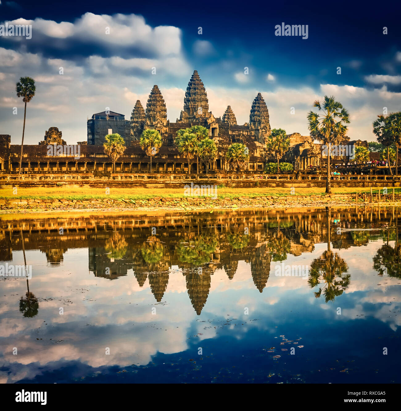 Angkor Wat temple reflecting in water of Lotus pond at sunset. Siem ...