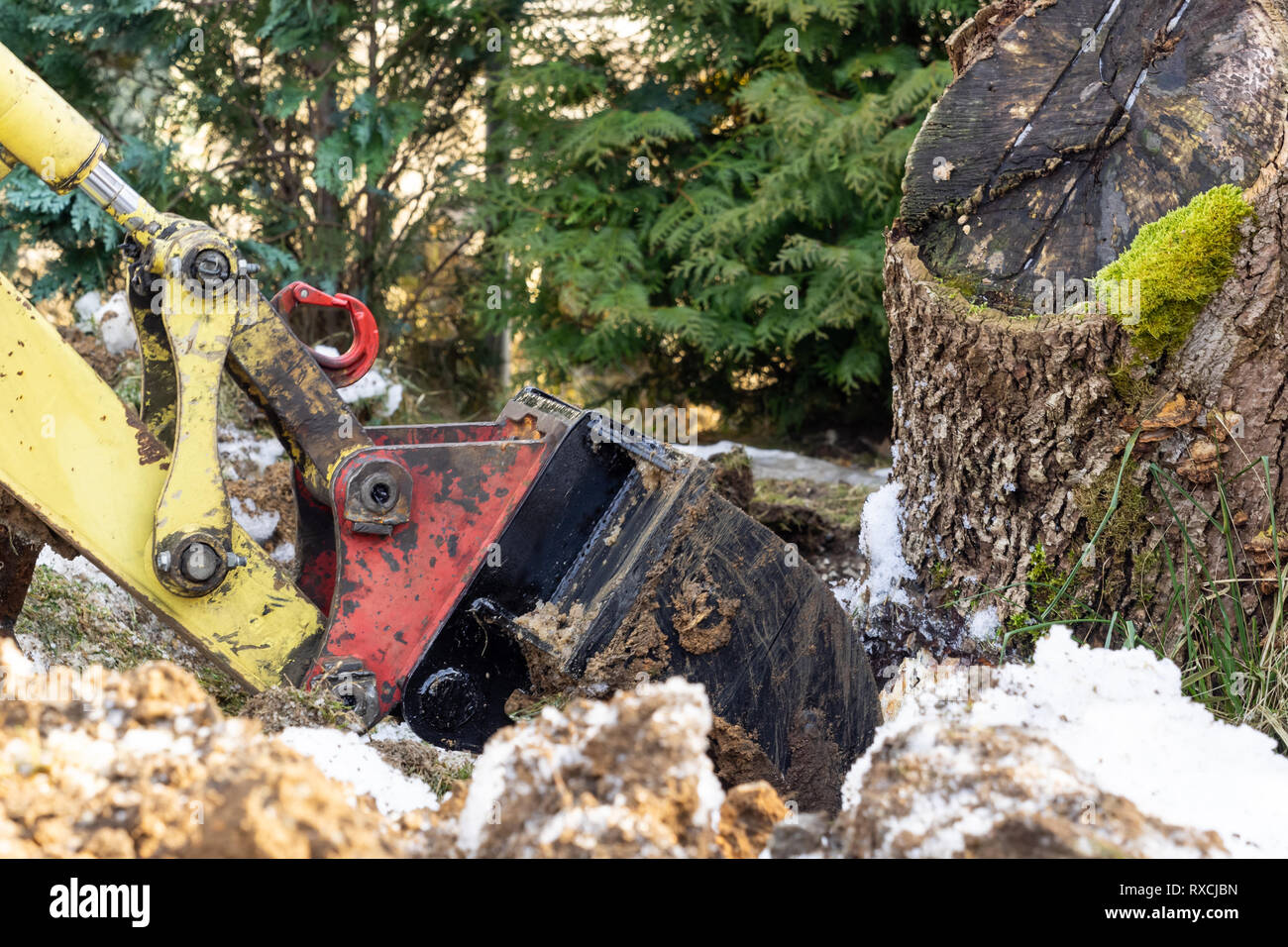 An excavator works in the garden, removing a root Stock Photo - Alamy