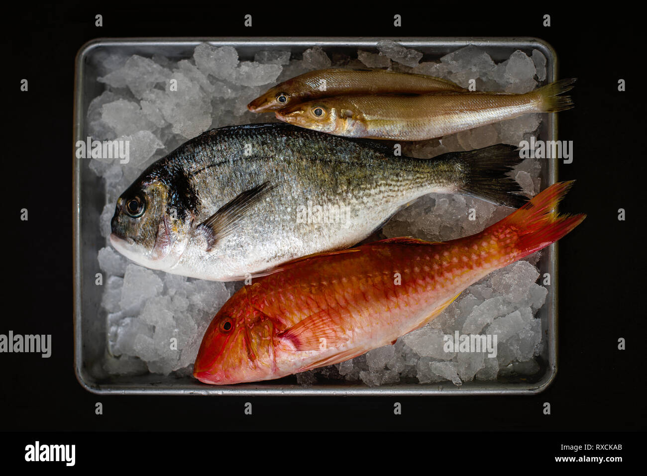 Closeup cuisine delicious eating fish hi-res stock photography and ...