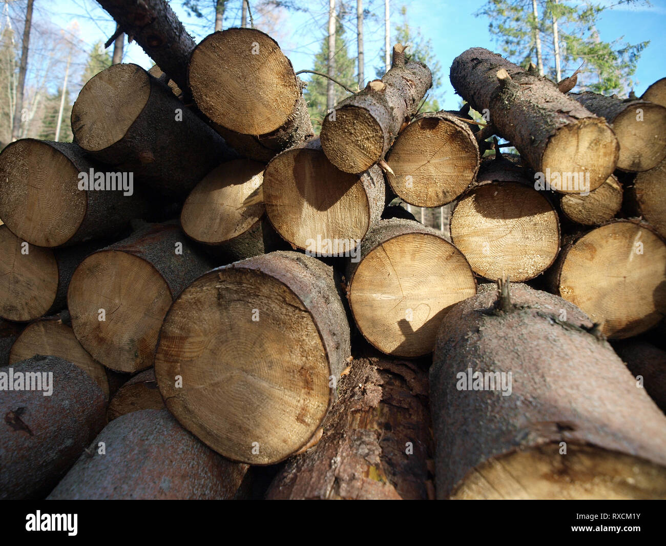 a stack of wood with a blue sky background Stock Photo - Alamy