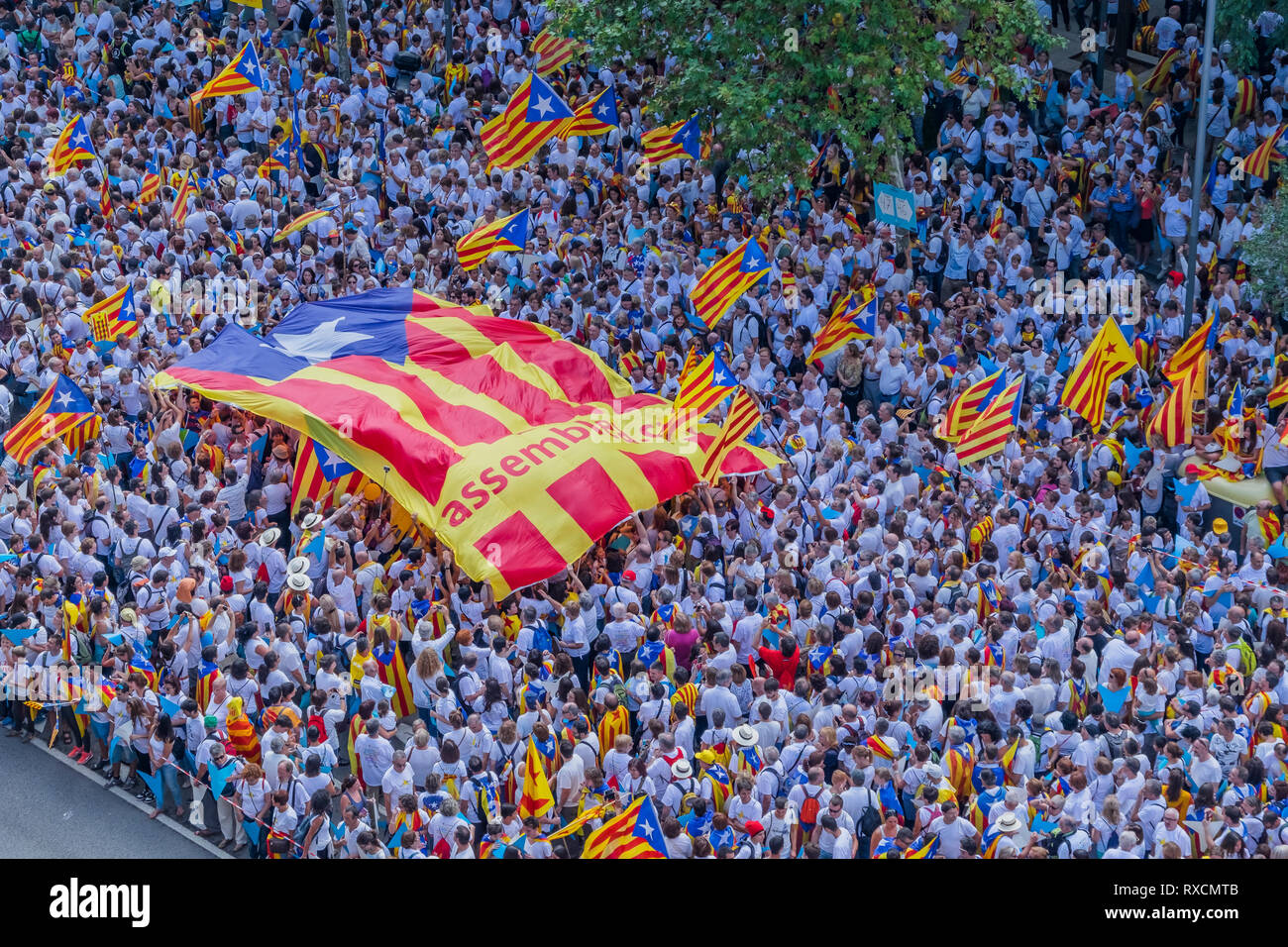 Catalonia national day national congress referendum hi-res stock ...