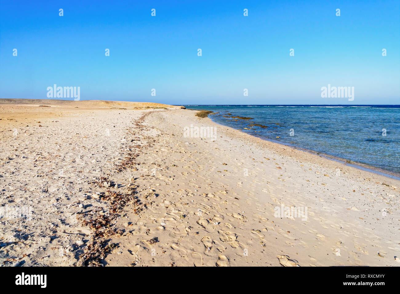 Egypt red sea marsa alam beach hi-res stock photography and images - Alamy