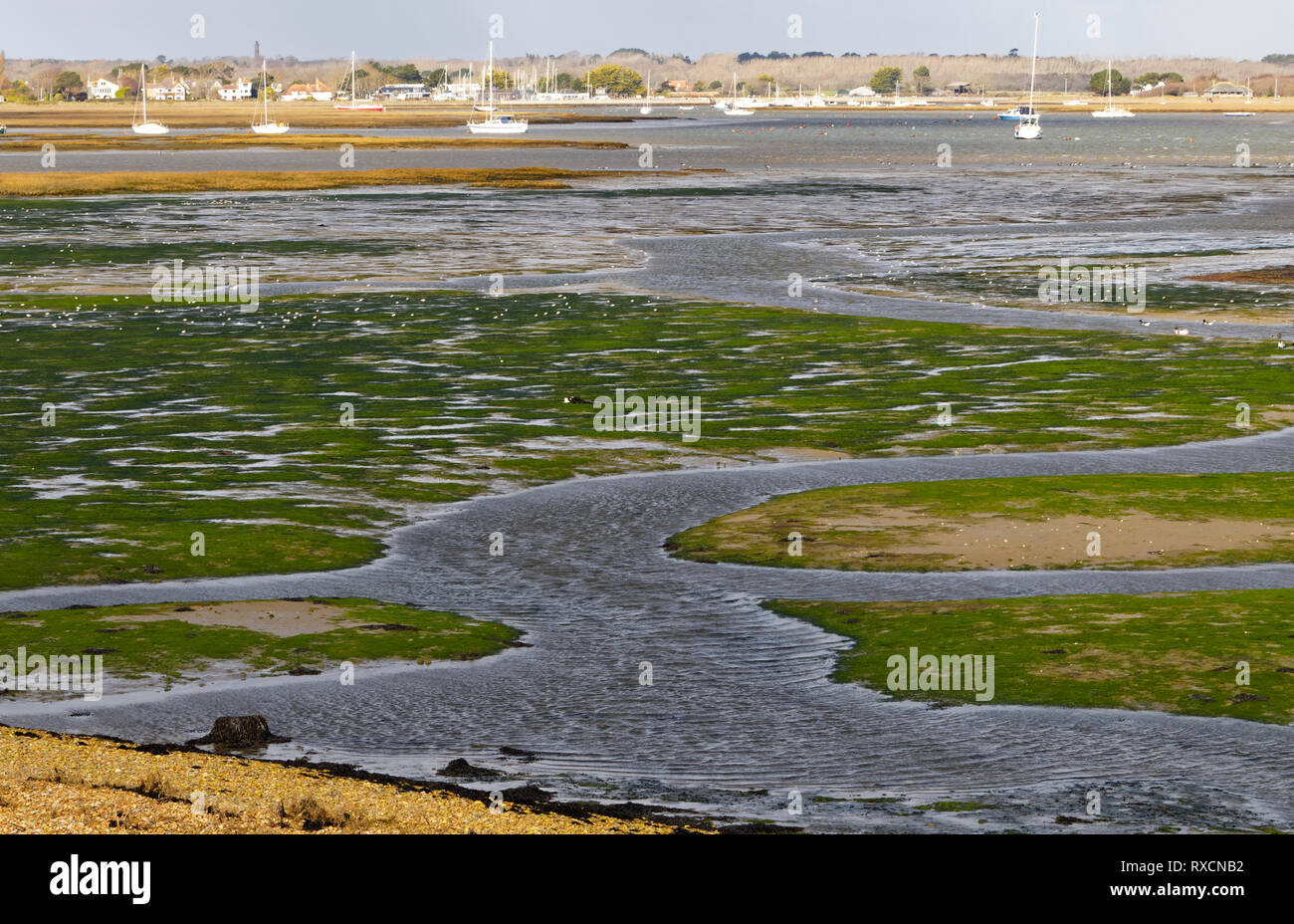 Marshland and river estuary hi-res stock photography and images - Alamy