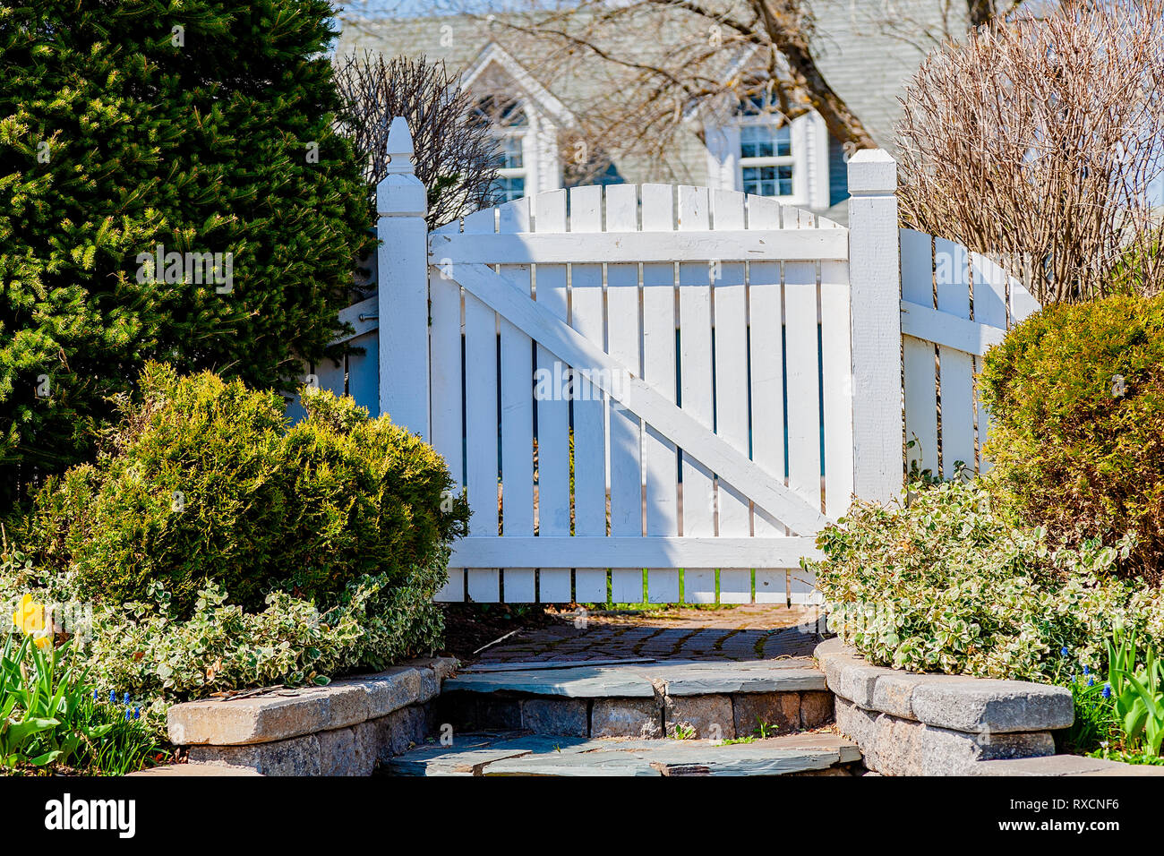 A wooden garden gate in a spring garden Stock Photo - Alamy