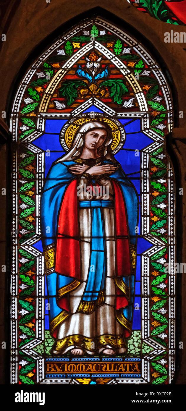 Immaculate Conception, stained glass window in the Basilica di Santa ...