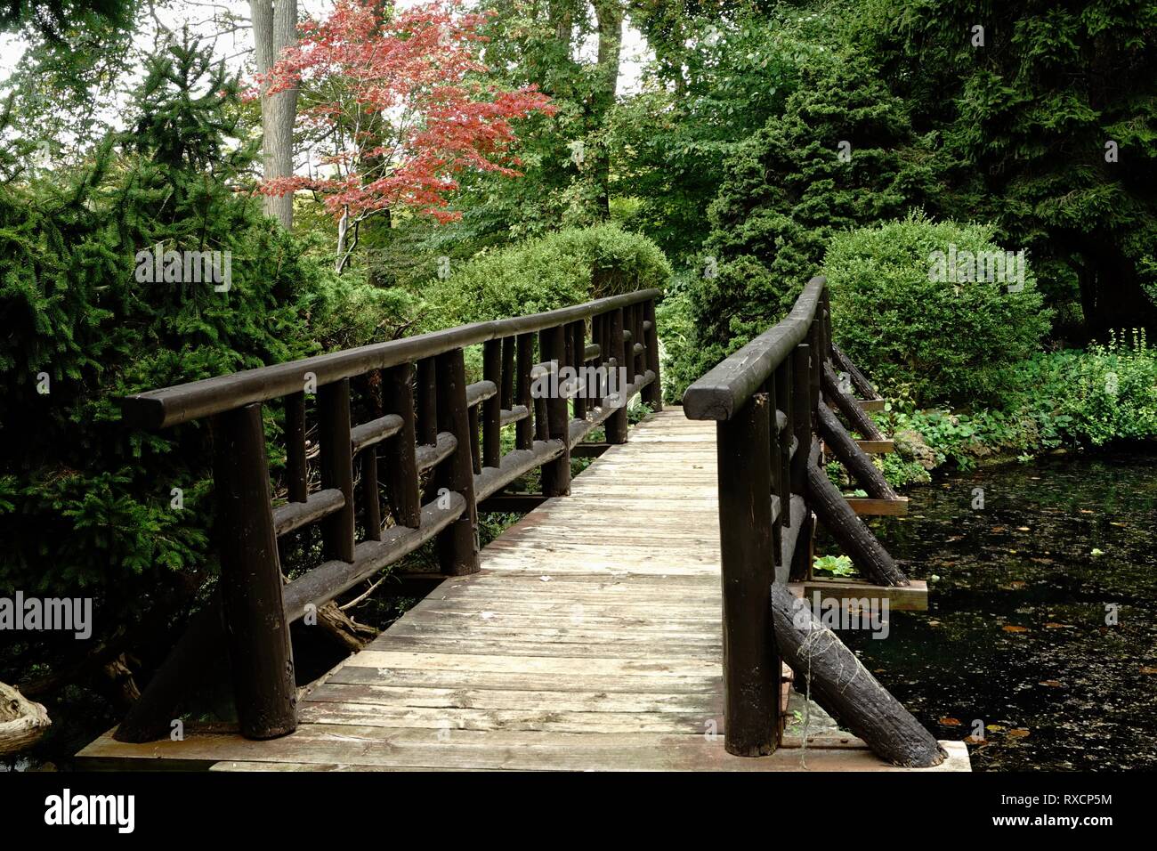 Bridge woodrail walkway hi-res stock photography and images - Alamy