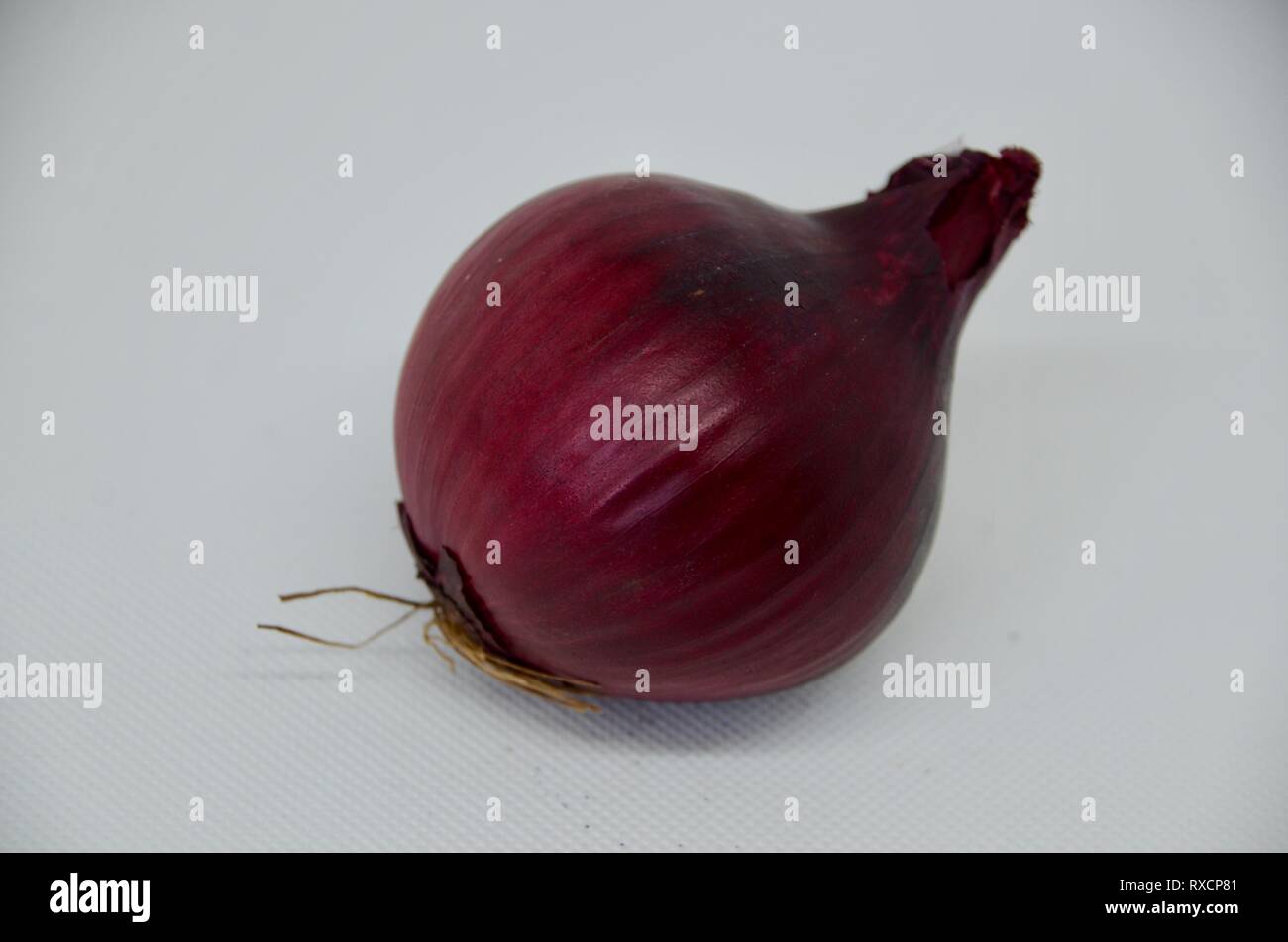 Single common onion hi-res stock photography and images - Alamy
