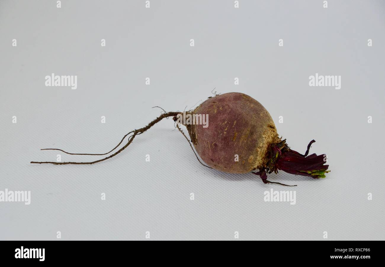 Long beet hi-res stock photography and images - Alamy