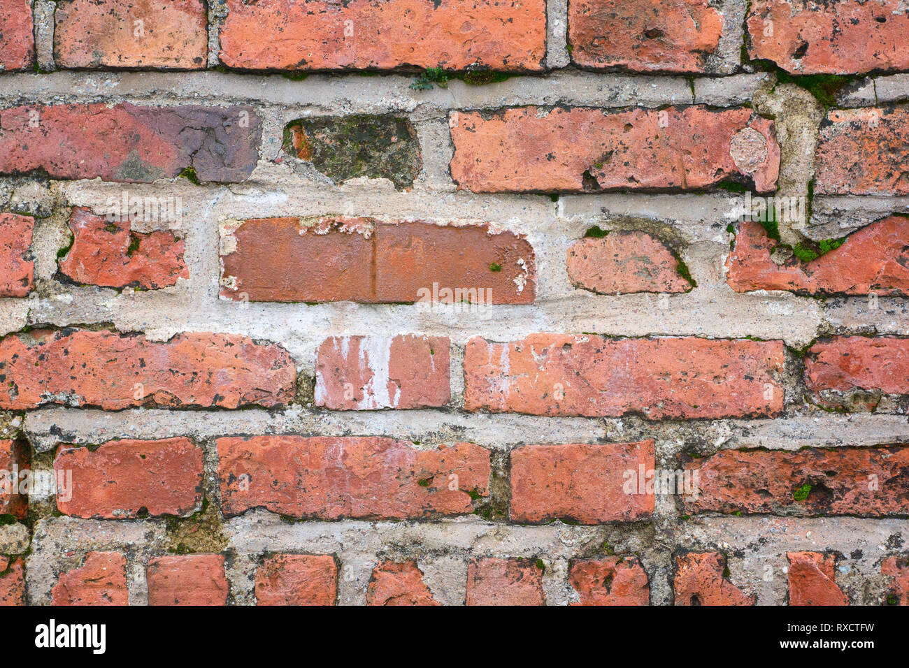 texture of a wall lined with bricks through a cement slurry Stock Photo ...