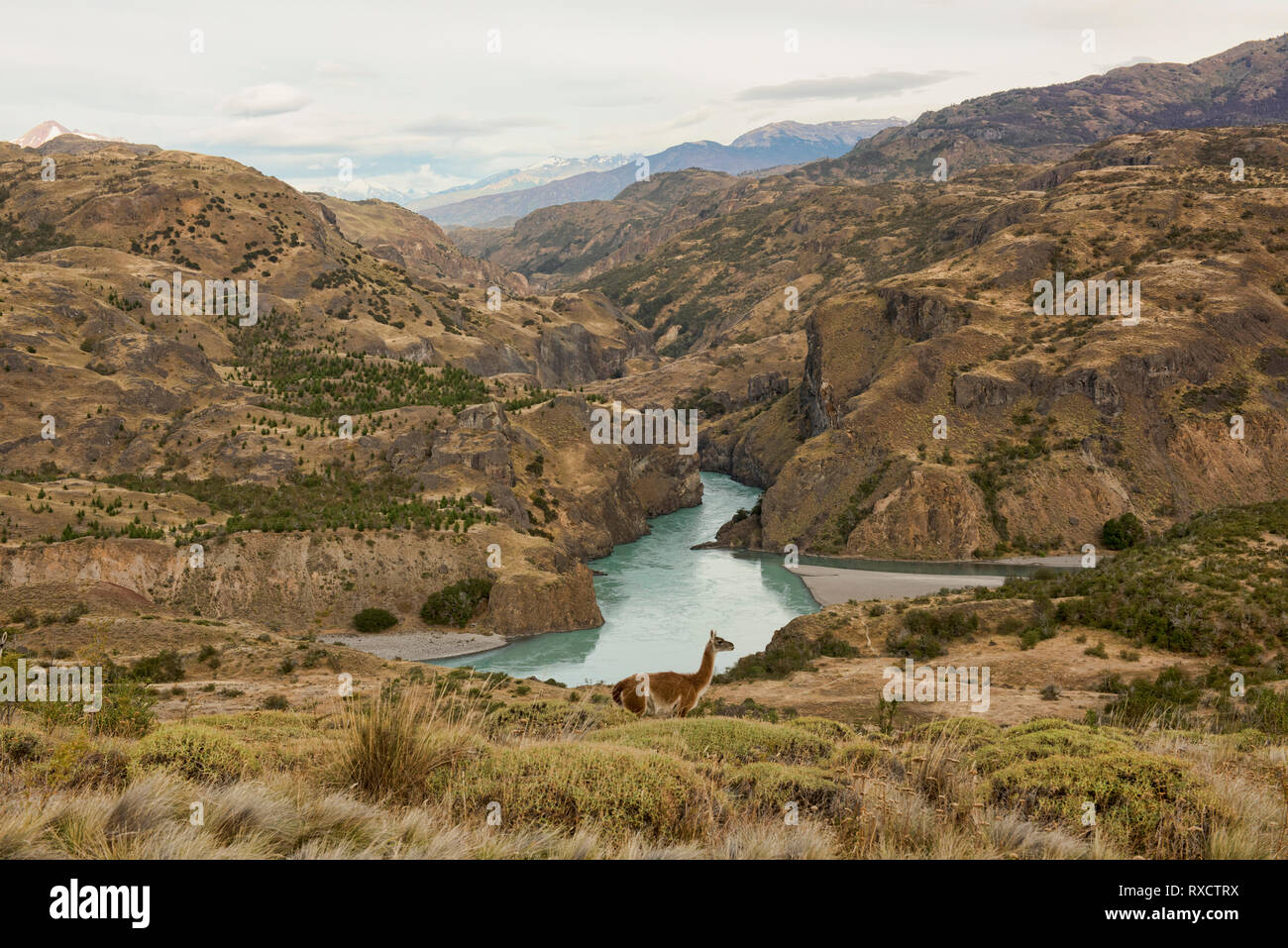 Rio baker hi-res stock photography and images - Alamy