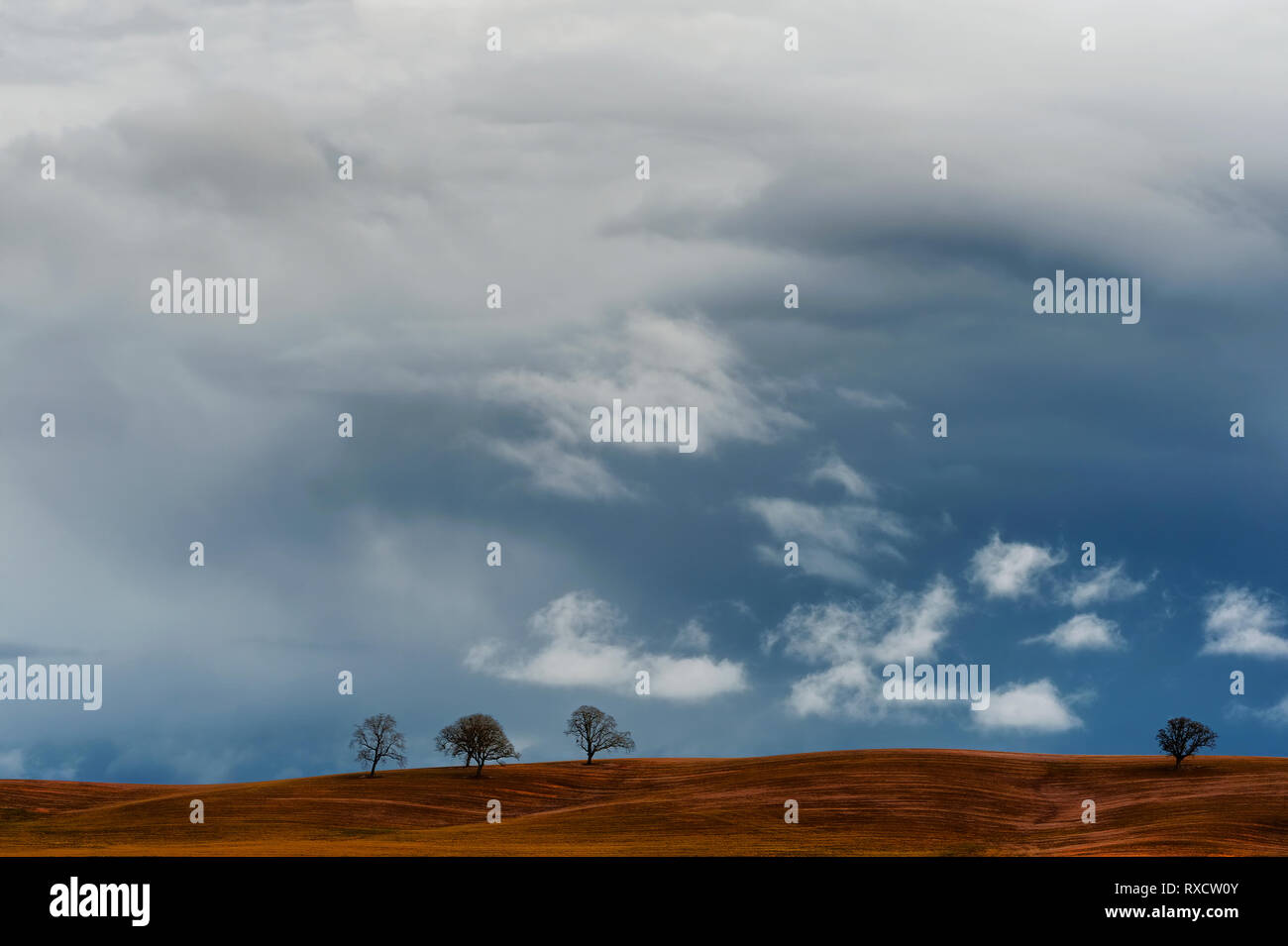 Ground Loom High Resolution Stock Photography and Images - Alamy