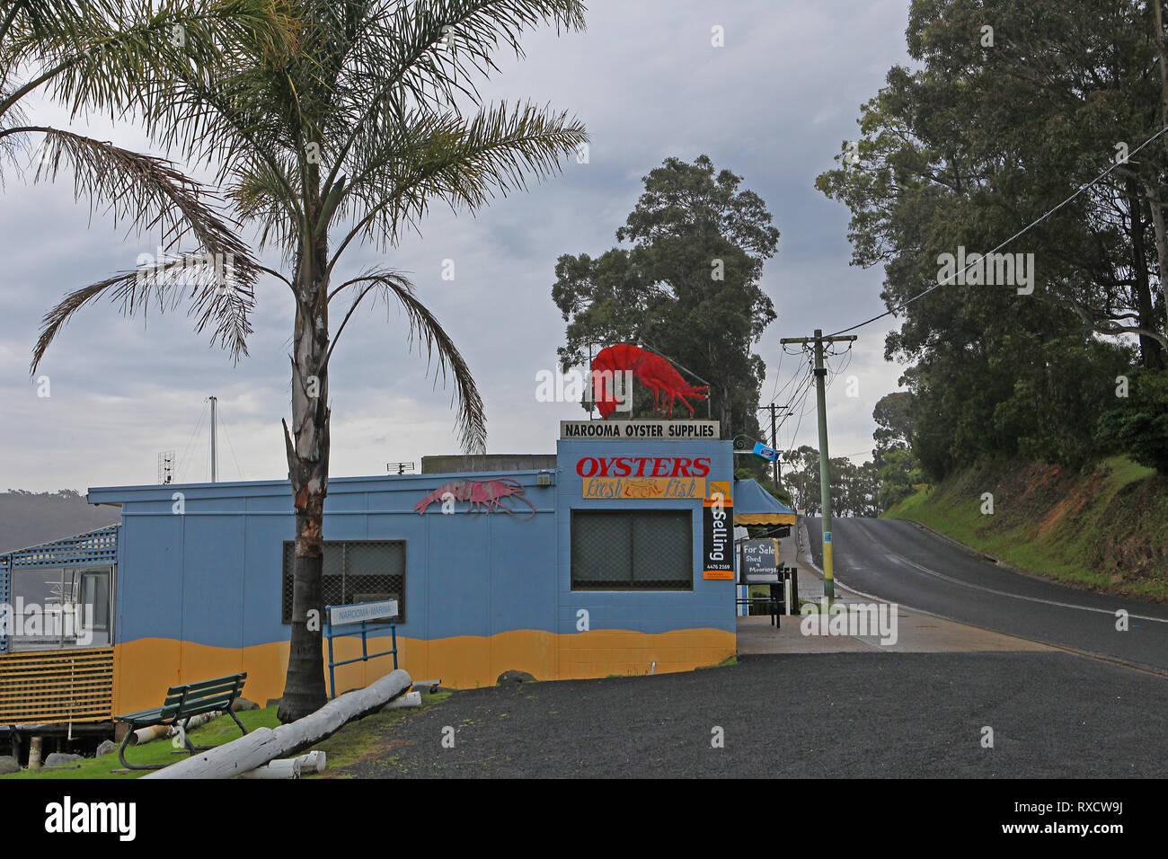 Visit Australia. Narooma is a town in the Australian state of New South ...