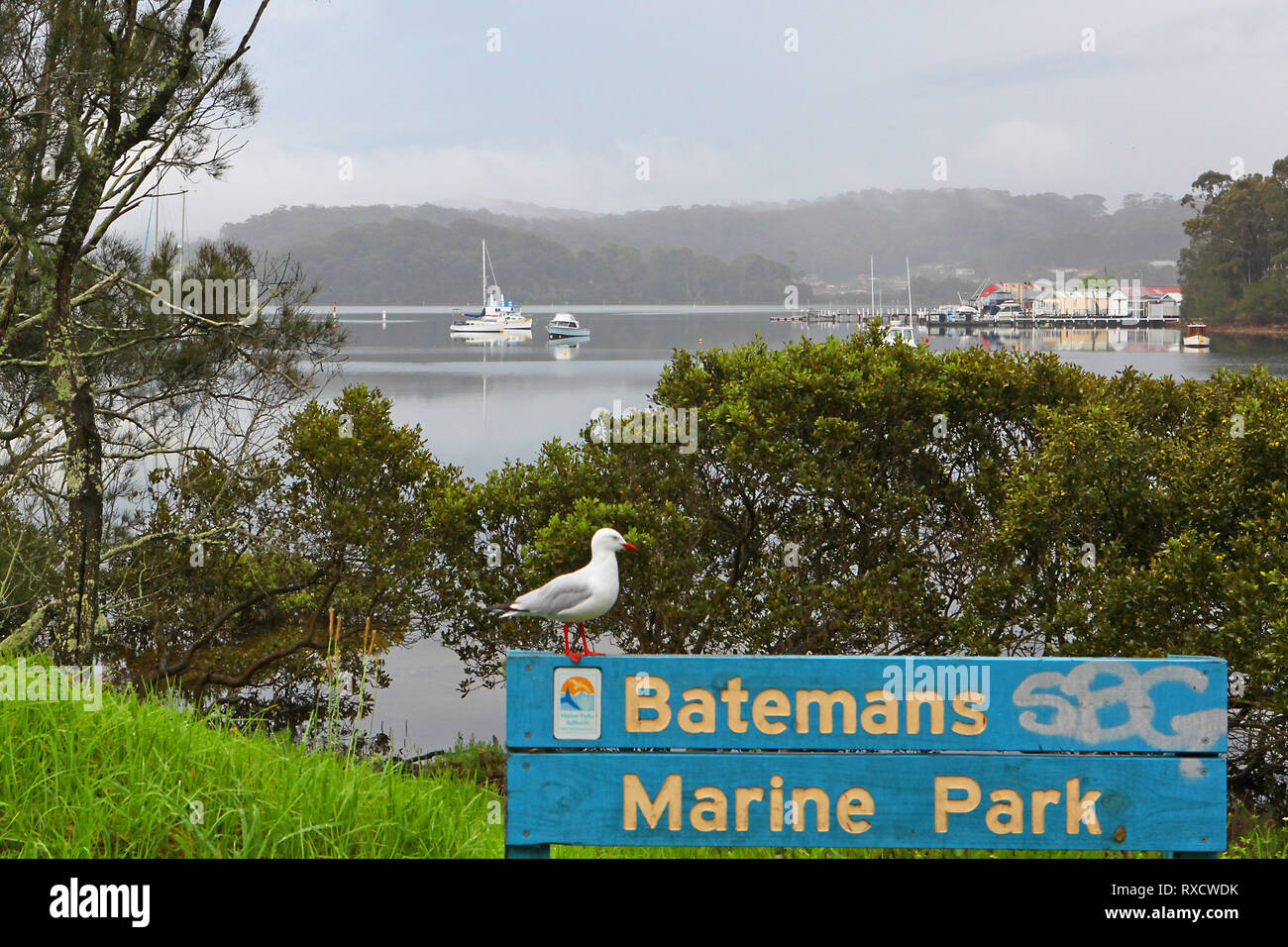 Visit Australia. Narooma is a town in the Australian state of New South ...