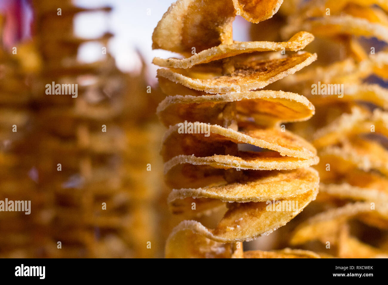 Potato spiral or tornado fried on skewer shot with low depth of feild ...