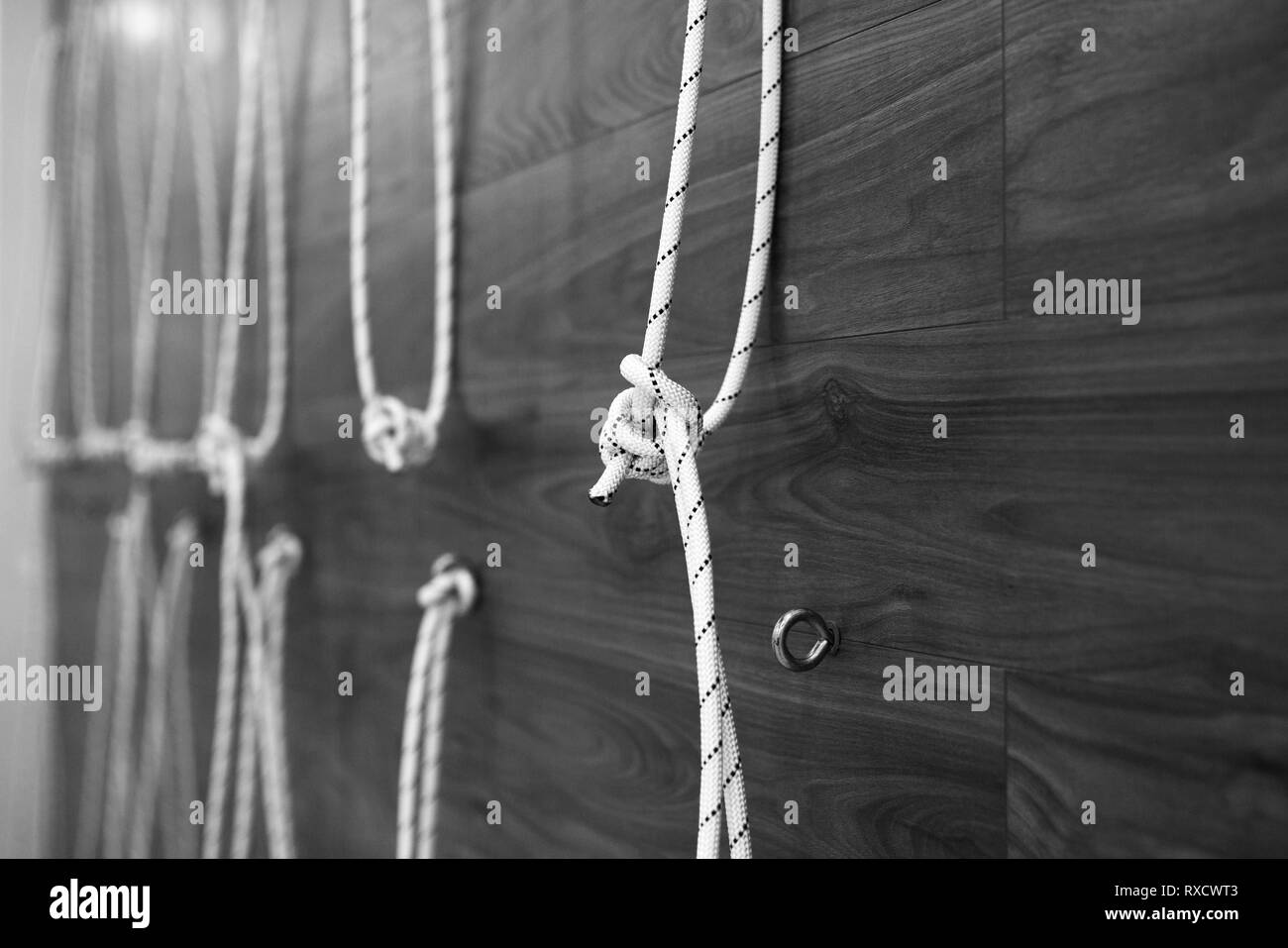 ropes for stretching and physical training. Kurunta yoga class Stock ...