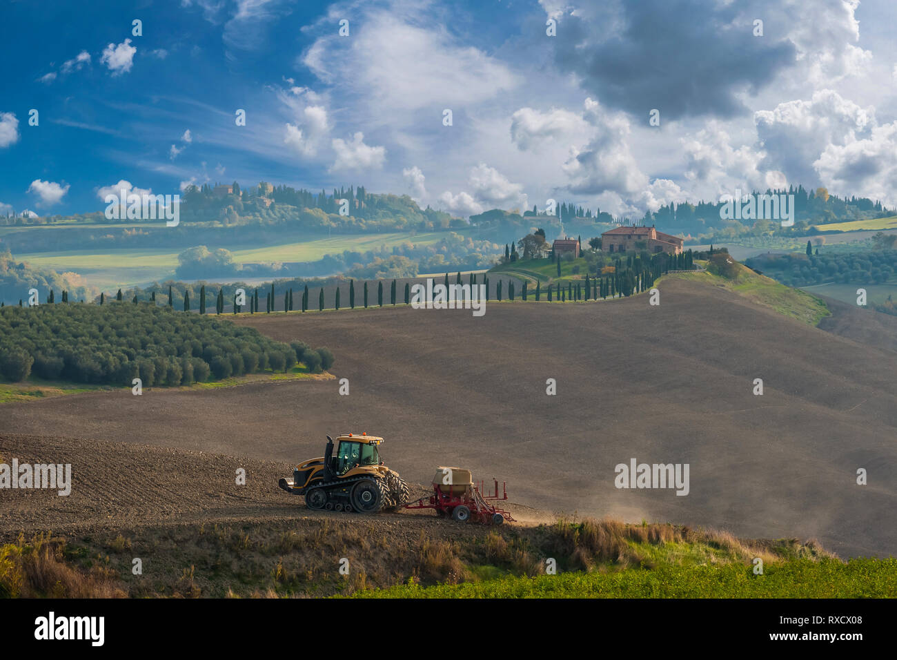 Agricultural landscape with tractor cultivates a field. Beautiful ...