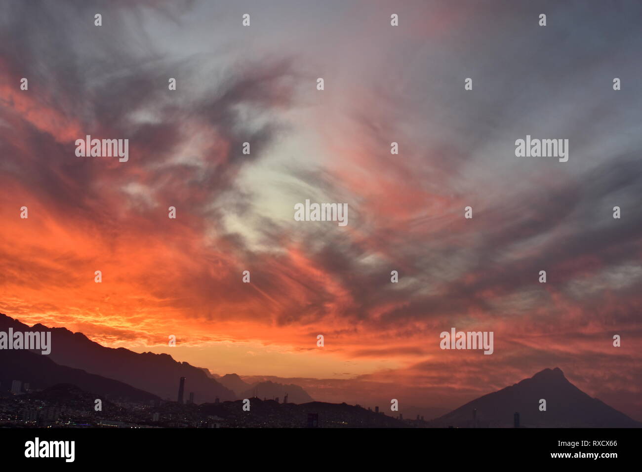 Monterreys nature hi-res stock photography and images - Alamy