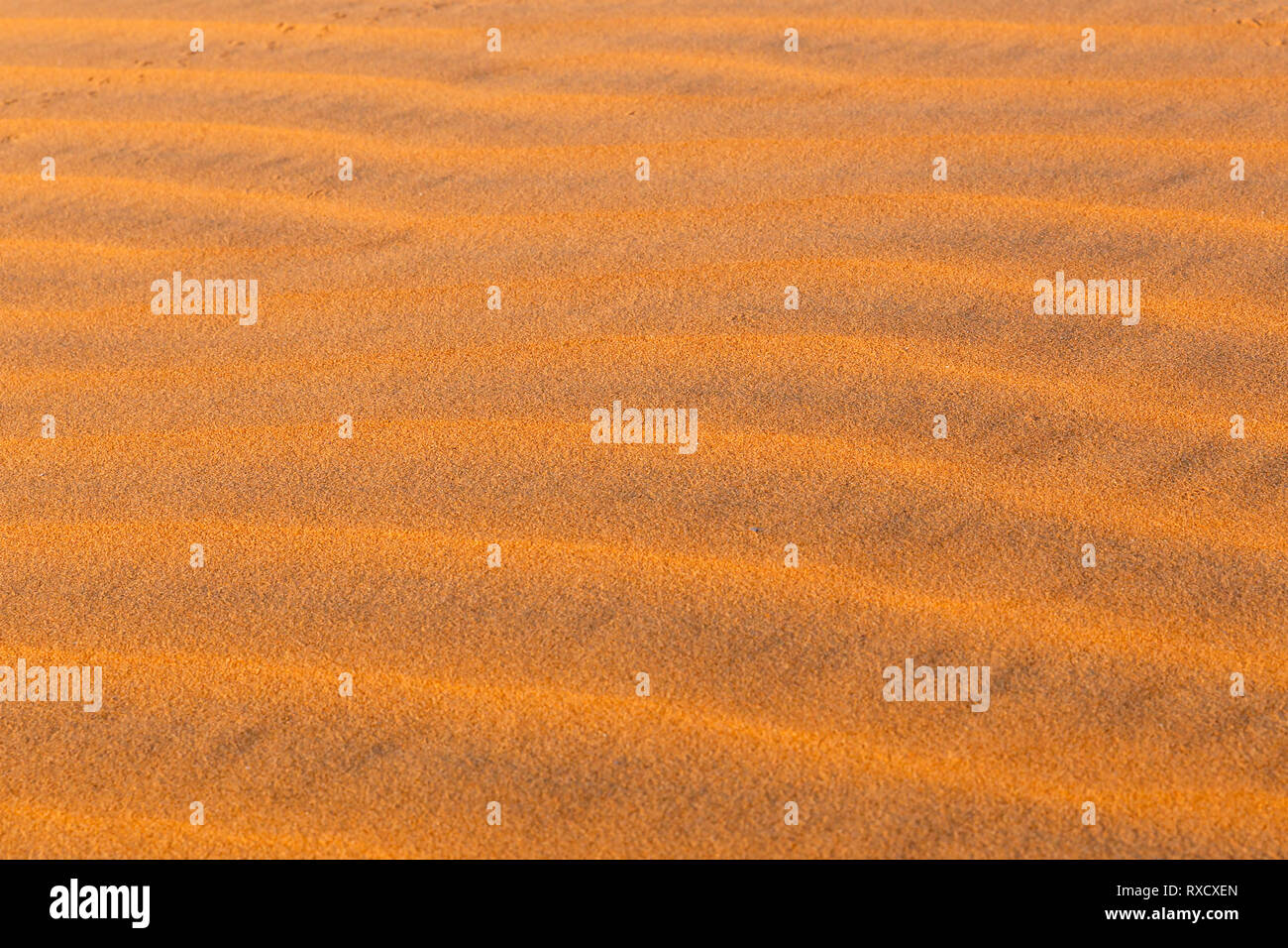Dune waves in Sahara Desert, Wave of sand texture Stock Photo - Alamy