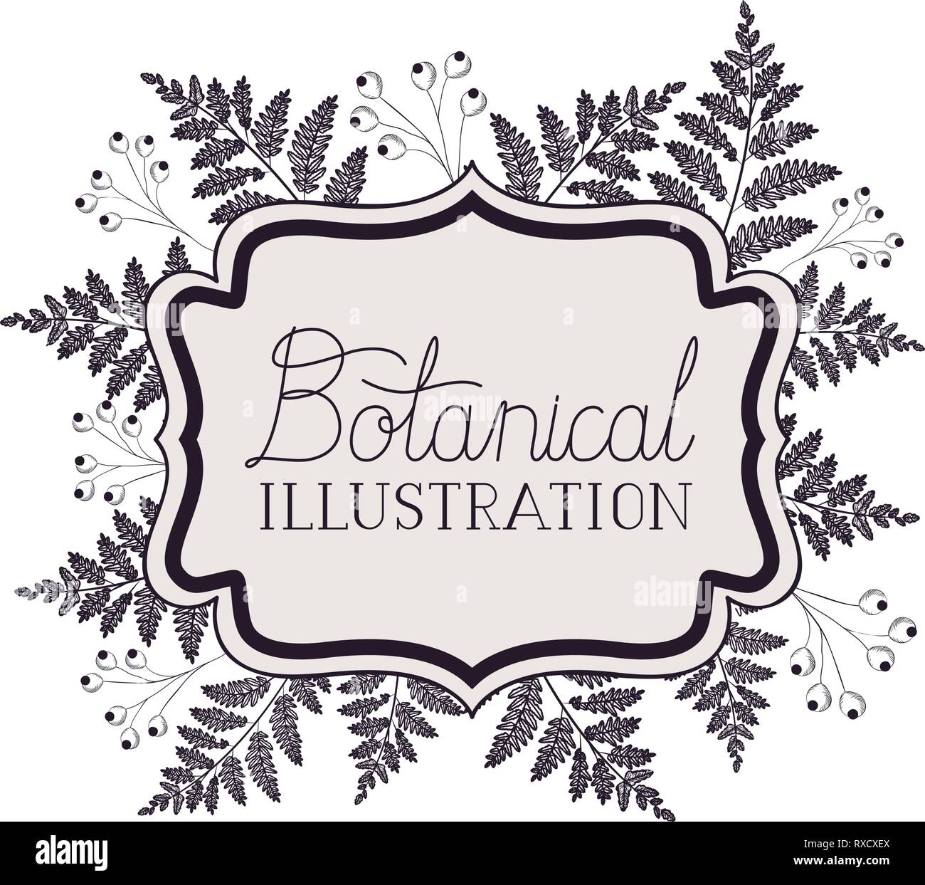 botanical illustration label with plants Stock Vector Image & Art - Alamy