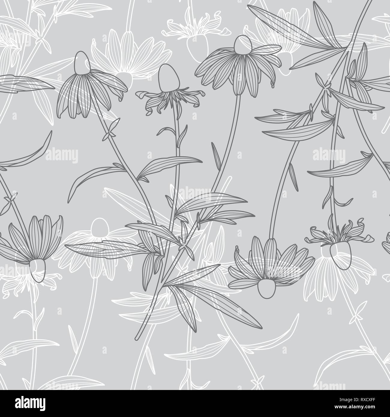 Monochrome Floral Rudbeckia Flower Line Drawing Seamless Pattern on ...