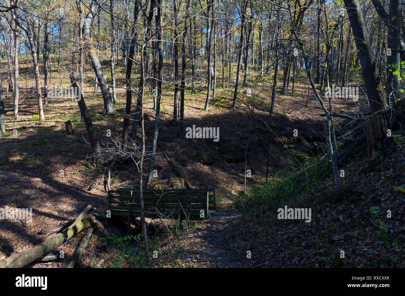 dry creek bed and bridge ravine along wooded trail in wyalusing state ...