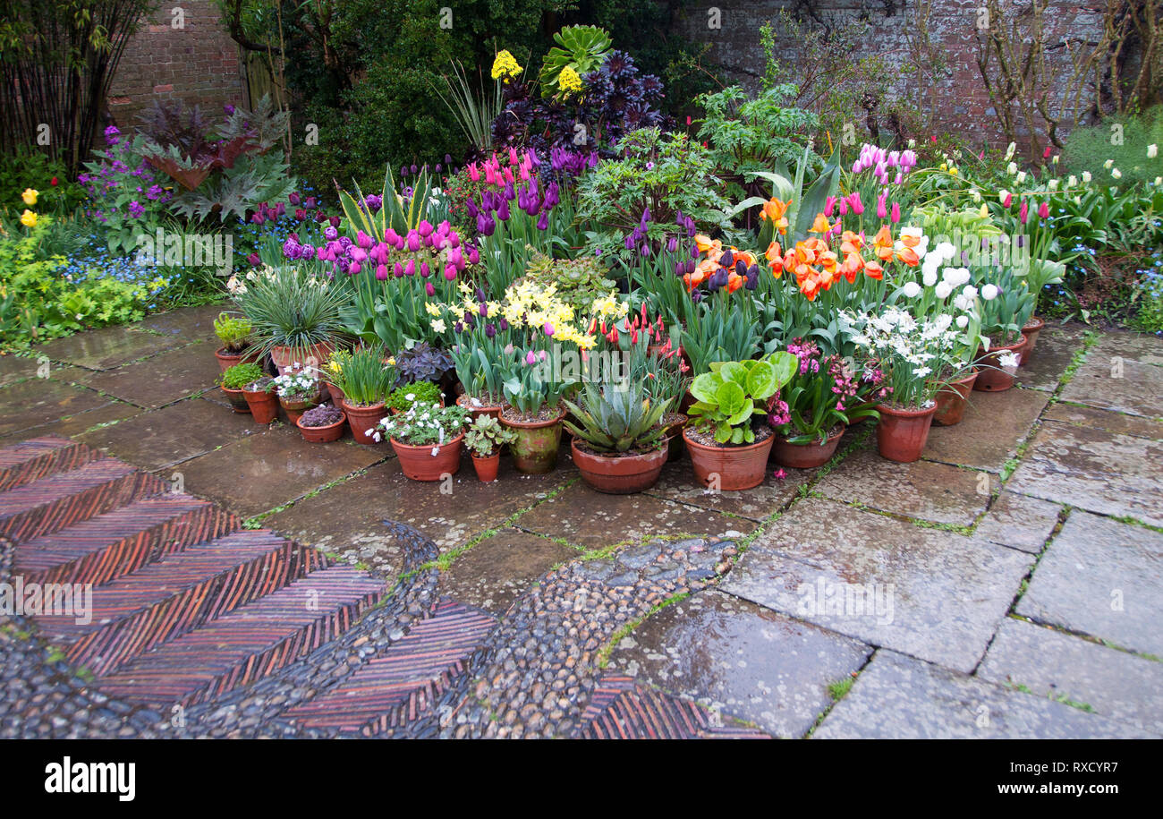 Great Dixter spring bulb display in the rain by Fergus Garret Stock ...