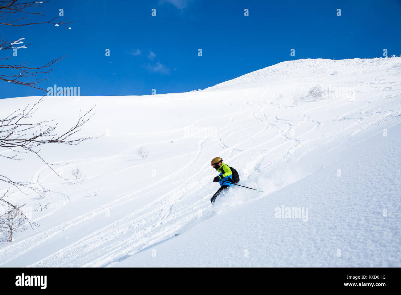 Telemark Skiing Powder
