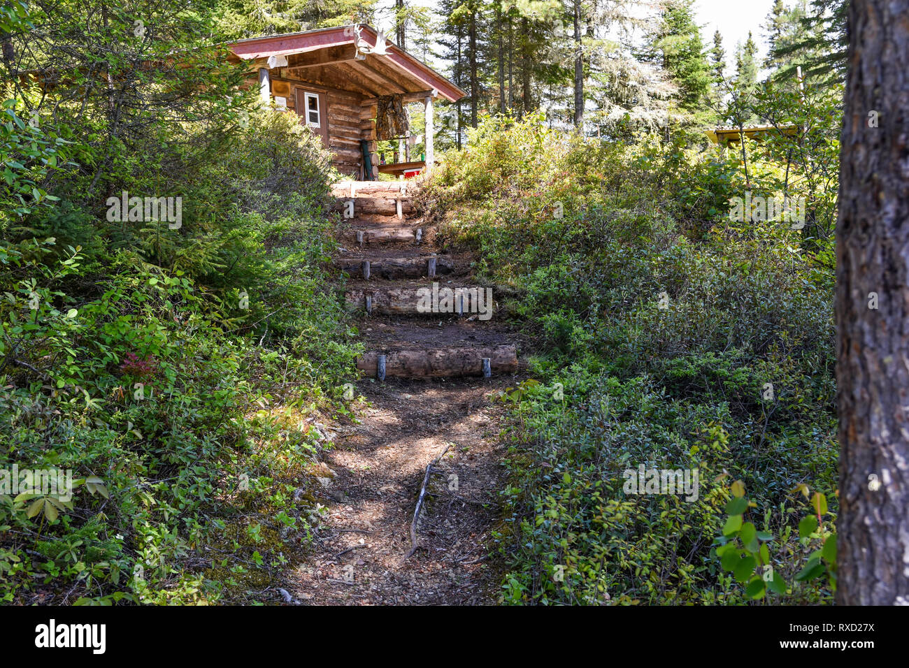 path and stairs leading to a log cabin in the wilderness Stock Photo ...