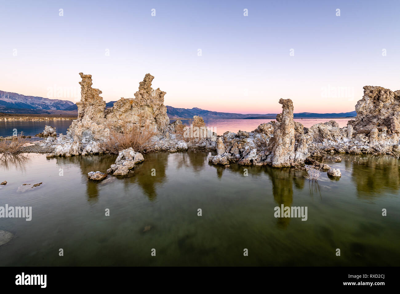 Mono basin national forest hi-res stock photography and images - Alamy