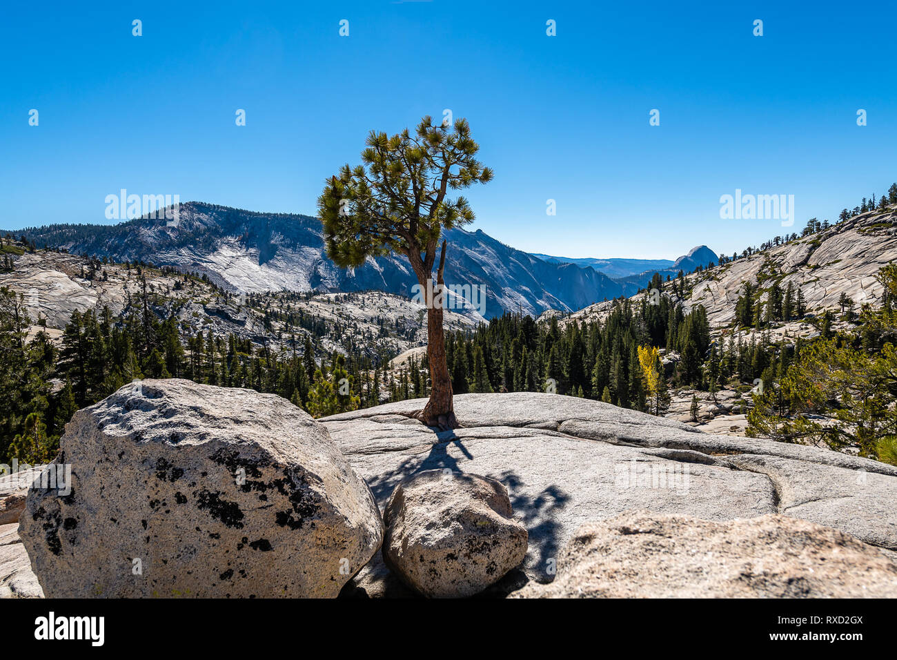 Tioga point hi-res stock photography and images - Alamy