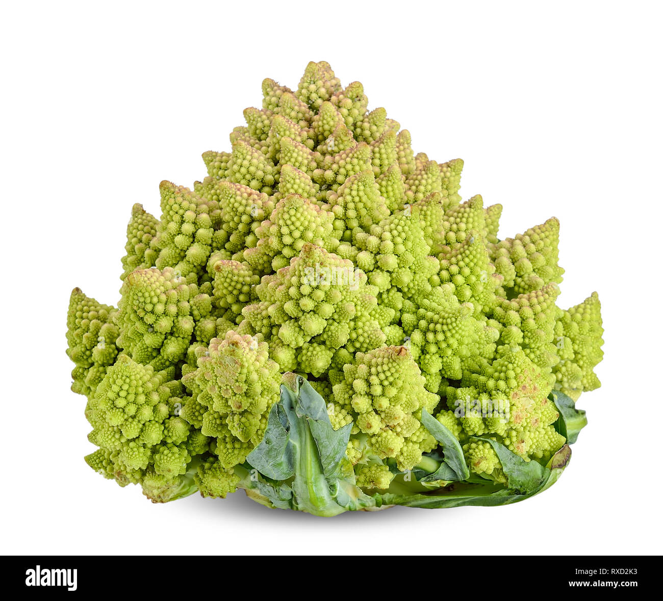 romanesco isolated on white with clipping path Stock Photo - Alamy