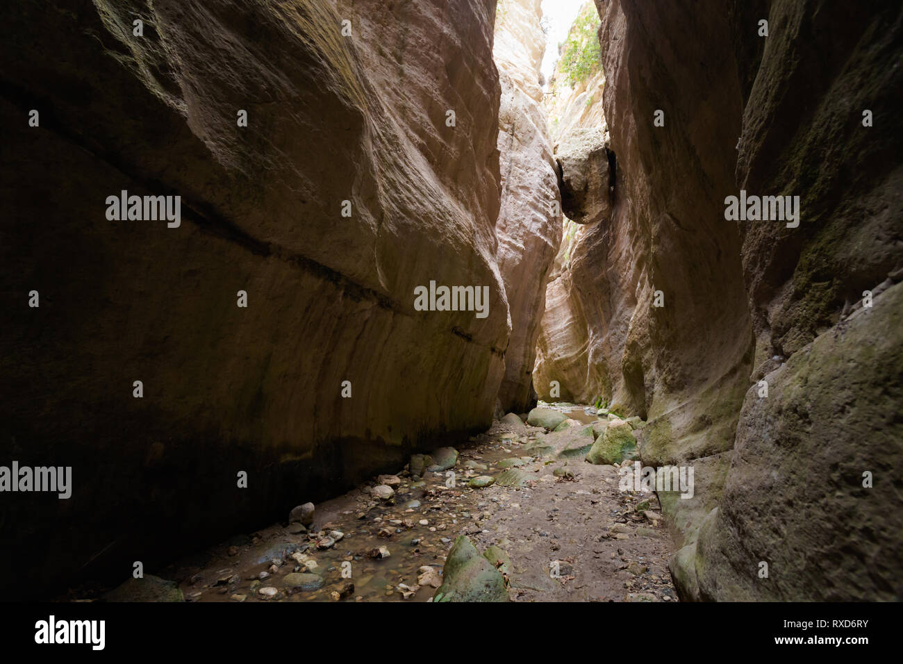 Beautiful Avakas Gorge valley during trekking. Landscape taken on ...