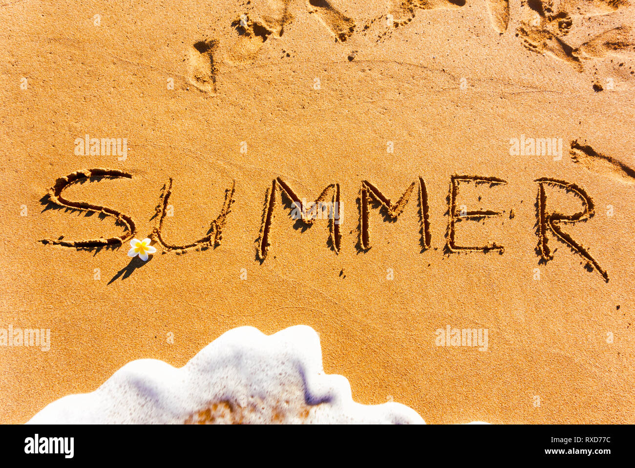 Word Summer written on sand with wave and flower Stock Photo - Alamy