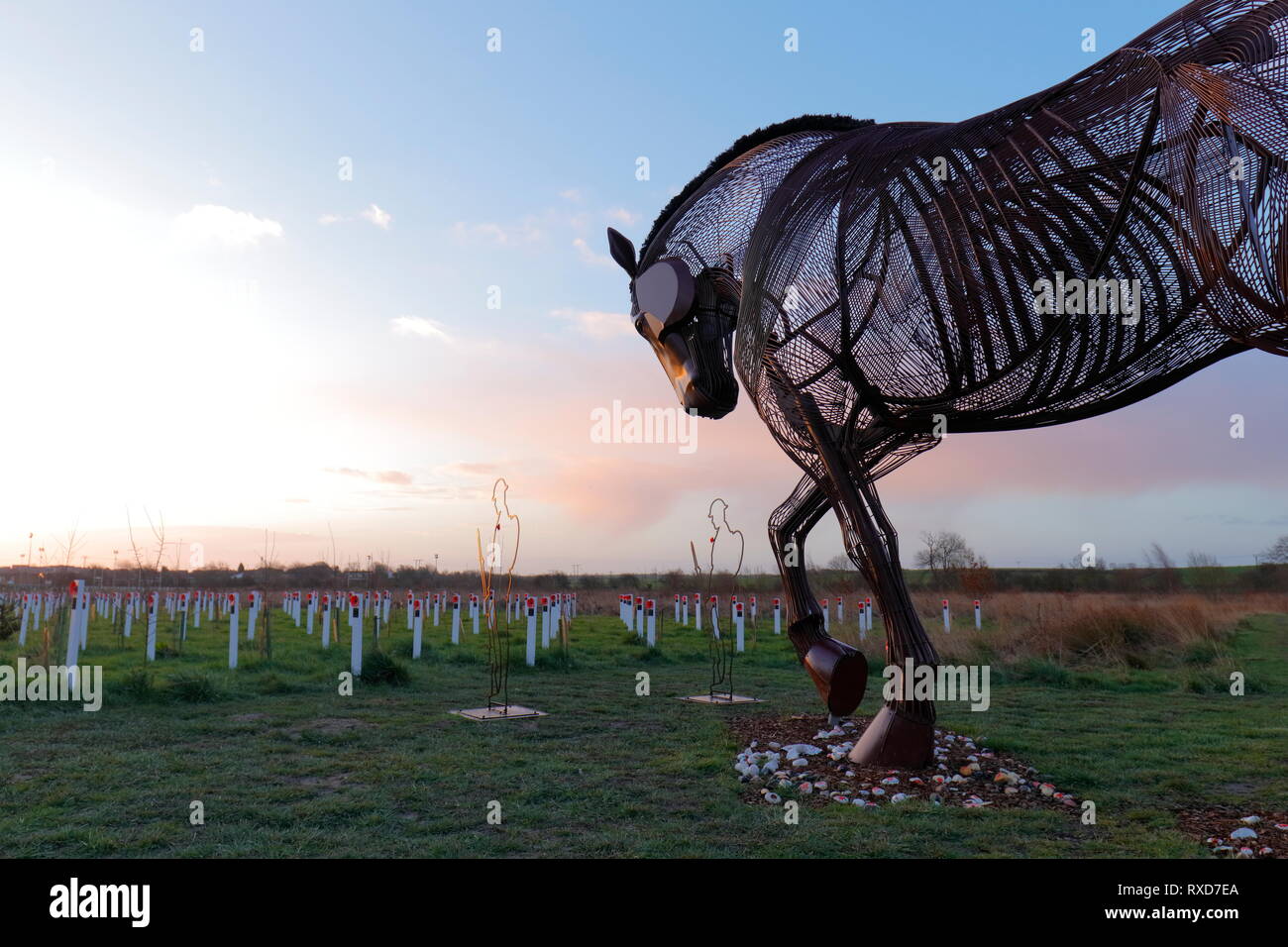 War Horse war memorial at the Mill Pond Meadow commemorative woodland ...