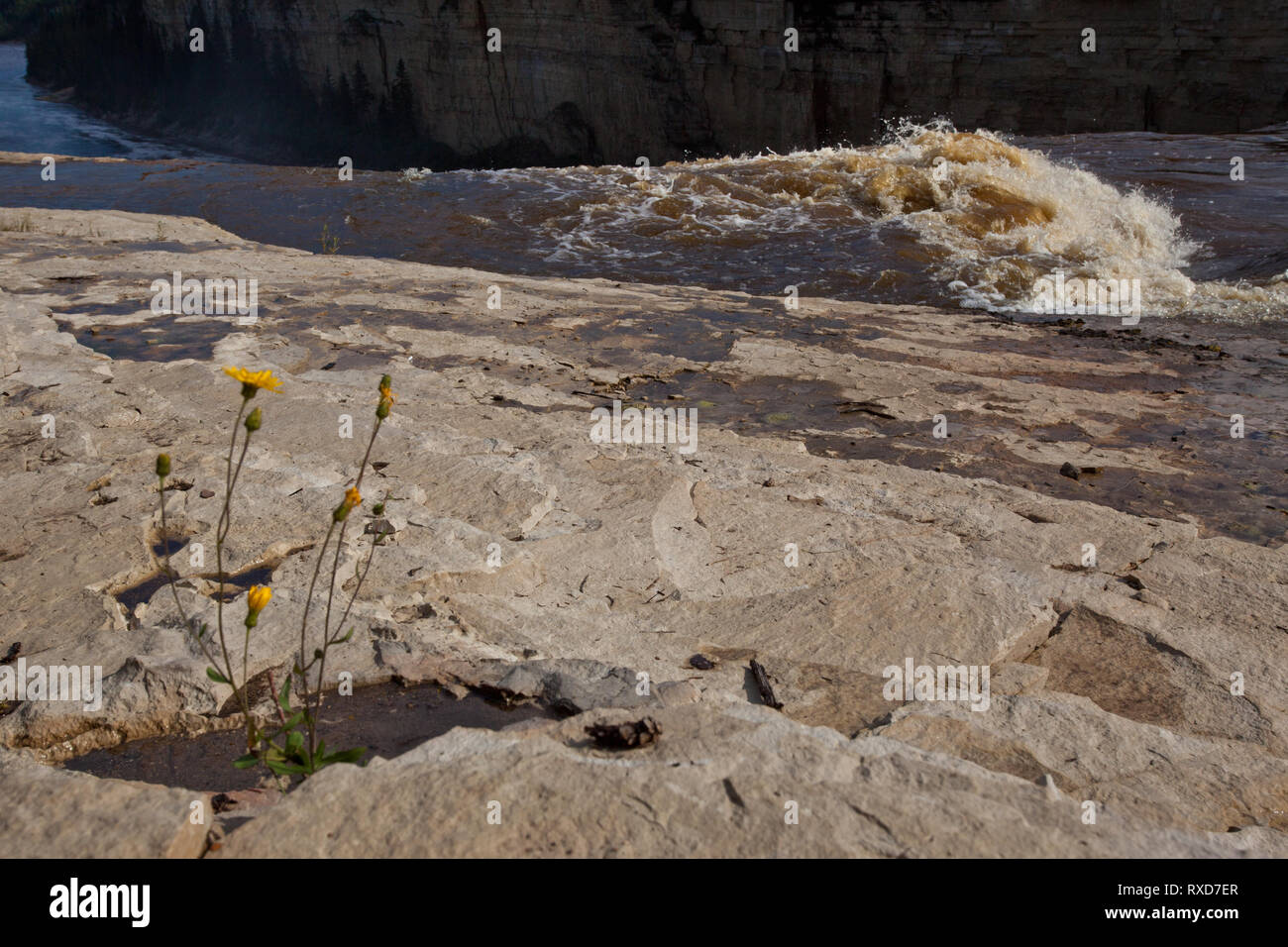 Alexandra Falls Territorial Park, South Slave Region, Northwest ...