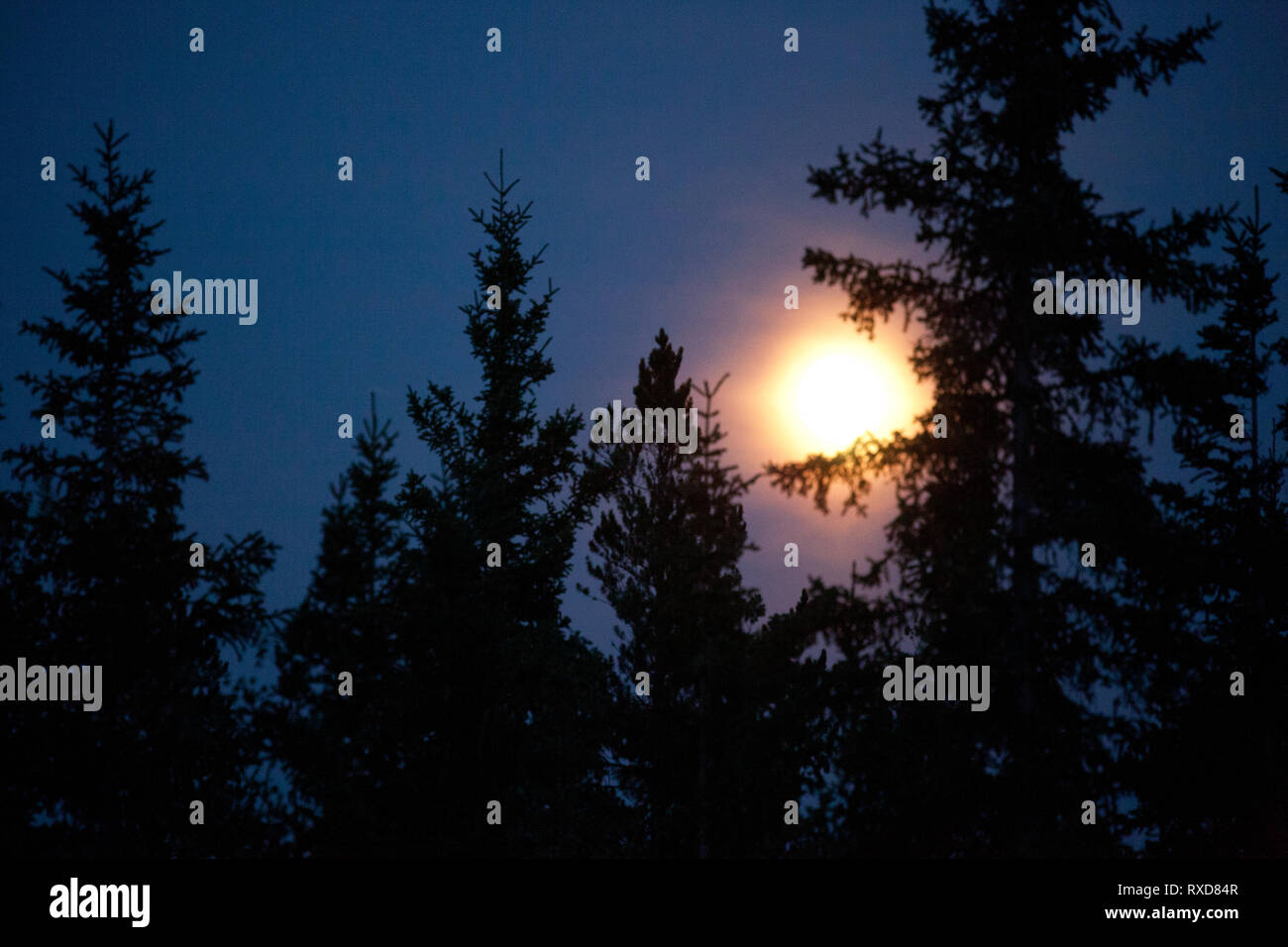 Fort Resolution, South Slave Region, Northwest Territories, Canada ...
