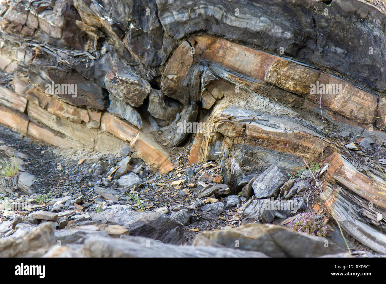 Limestone sediments samples hi-res stock photography and images - Alamy