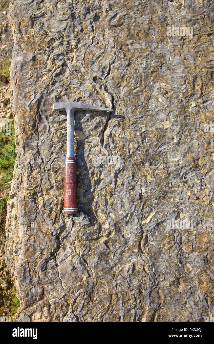 Geological hammer on the rocks Stock Photo - Alamy