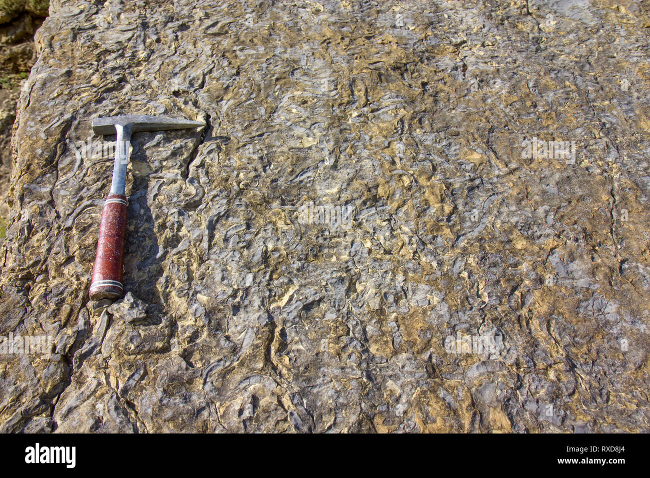 Geological hammer on the rocks Stock Photo - Alamy