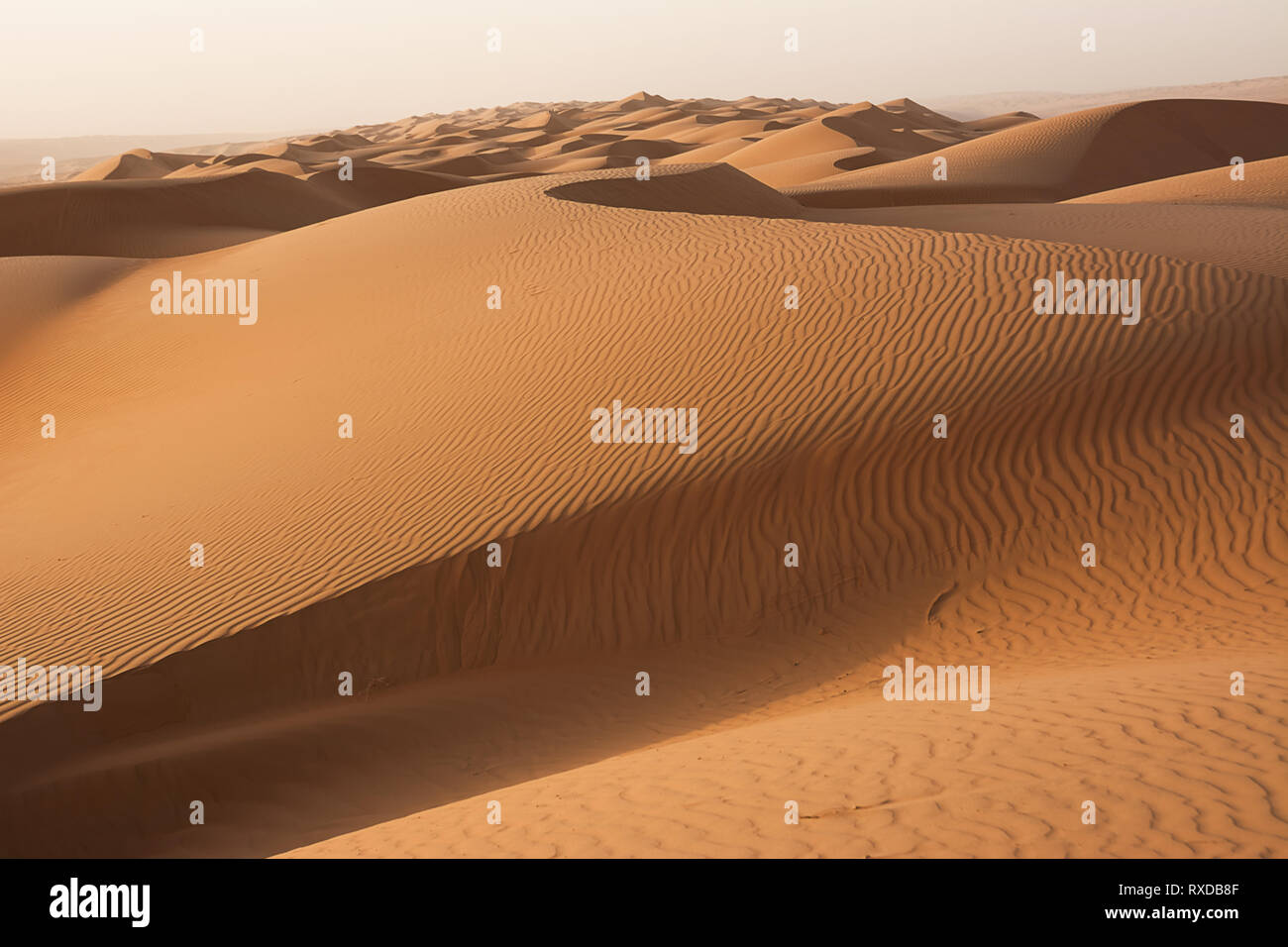 Dunes of the Wahiba Sand Desert at dawn (Oman Stock Photo - Alamy