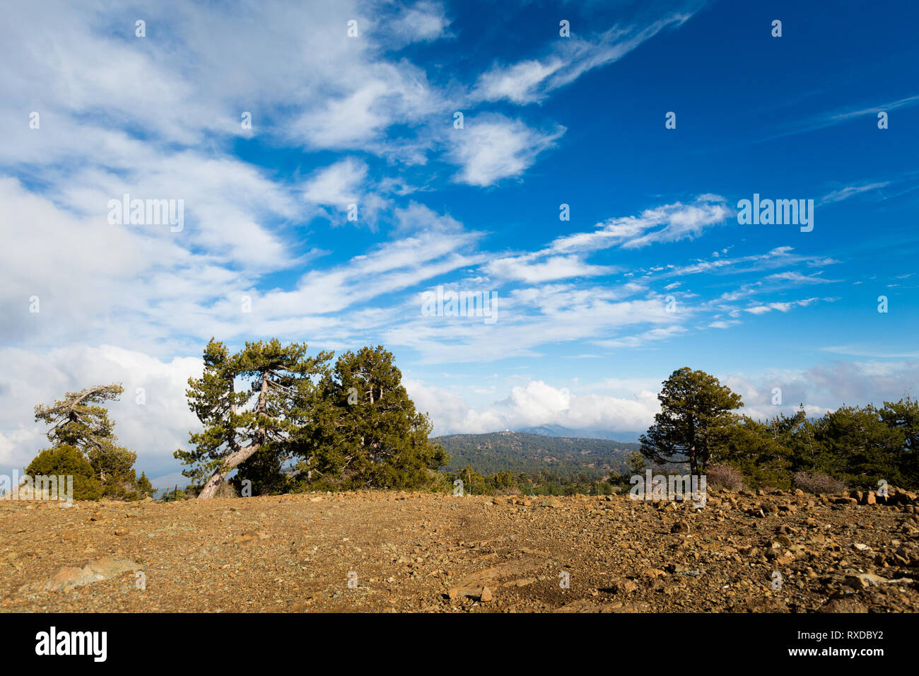 Beautiful mount Olympus during trekking. Landscape taken in Troodos ...