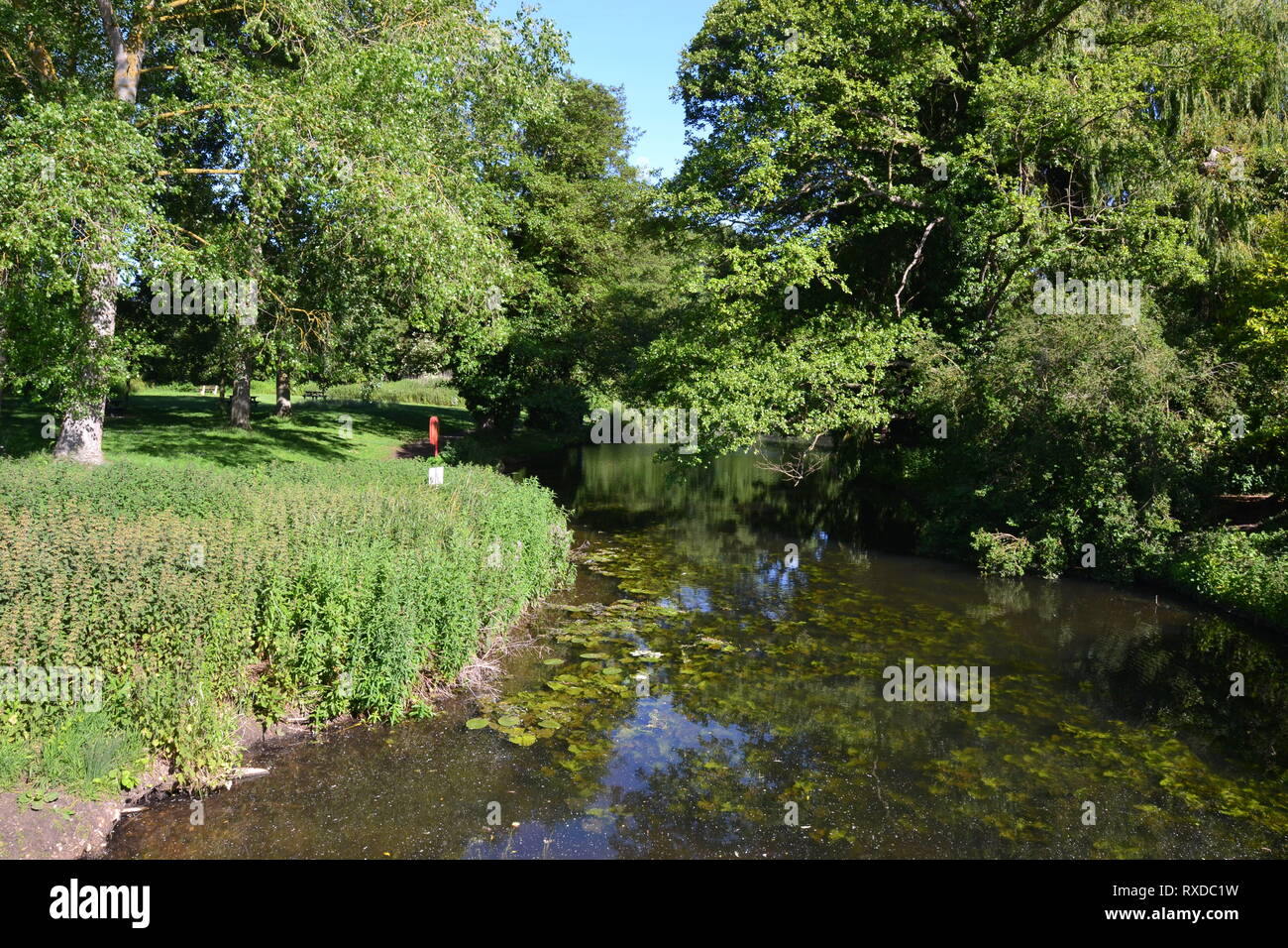 The River Box at Polstead, Suffolk, UK Stock Photo - Alamy
