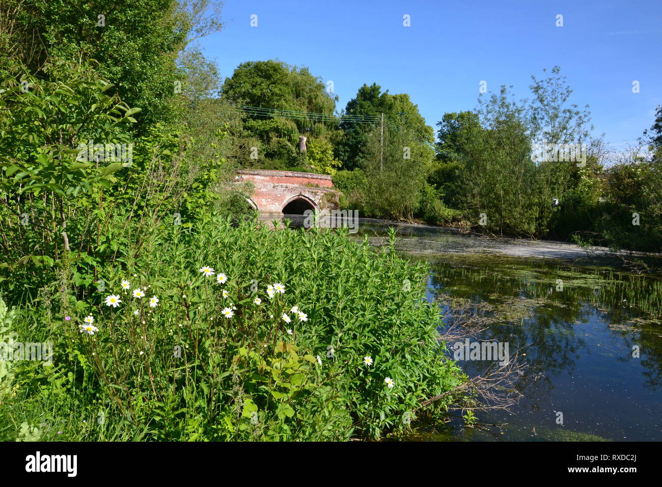 Bridge over the River Box Walk at Polstead, Suffolk, UK Stock Photo - Alamy