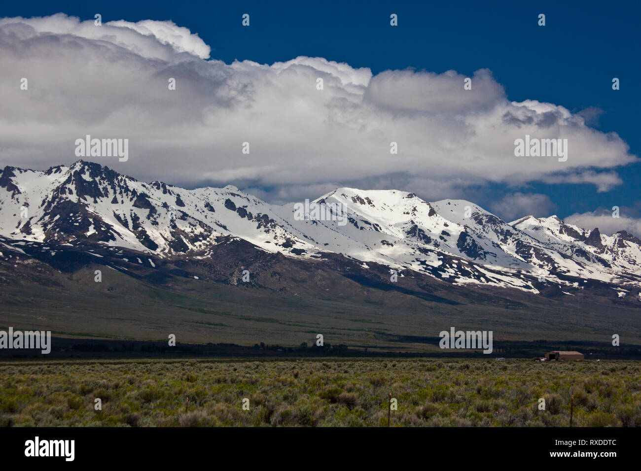 Ruby mountains hi-res stock photography and images - Alamy